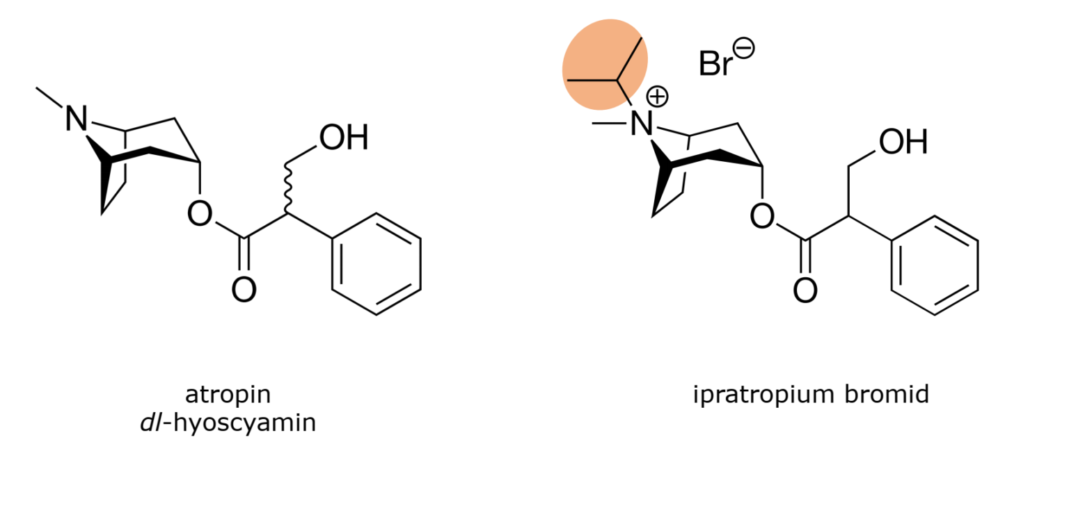 Alkaloid và thuốc giãn phế quản